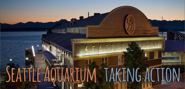 Taking the dive part III – Seattle Aquarium takes action for World ...