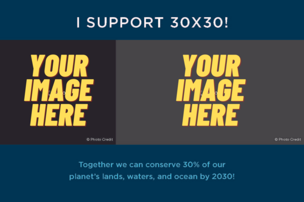 30x30 - The Ocean Project