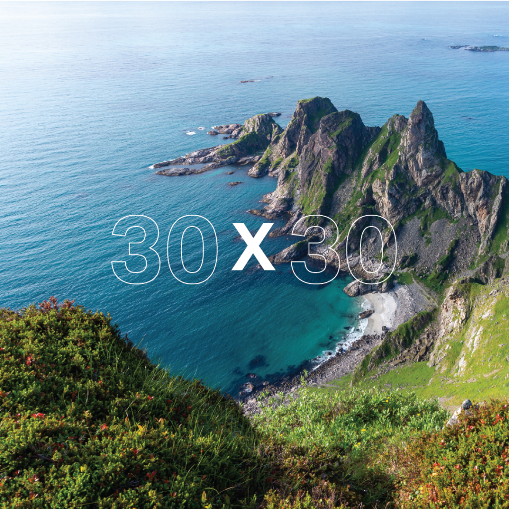Tools and Resources to Support 30x30 - The Ocean Project