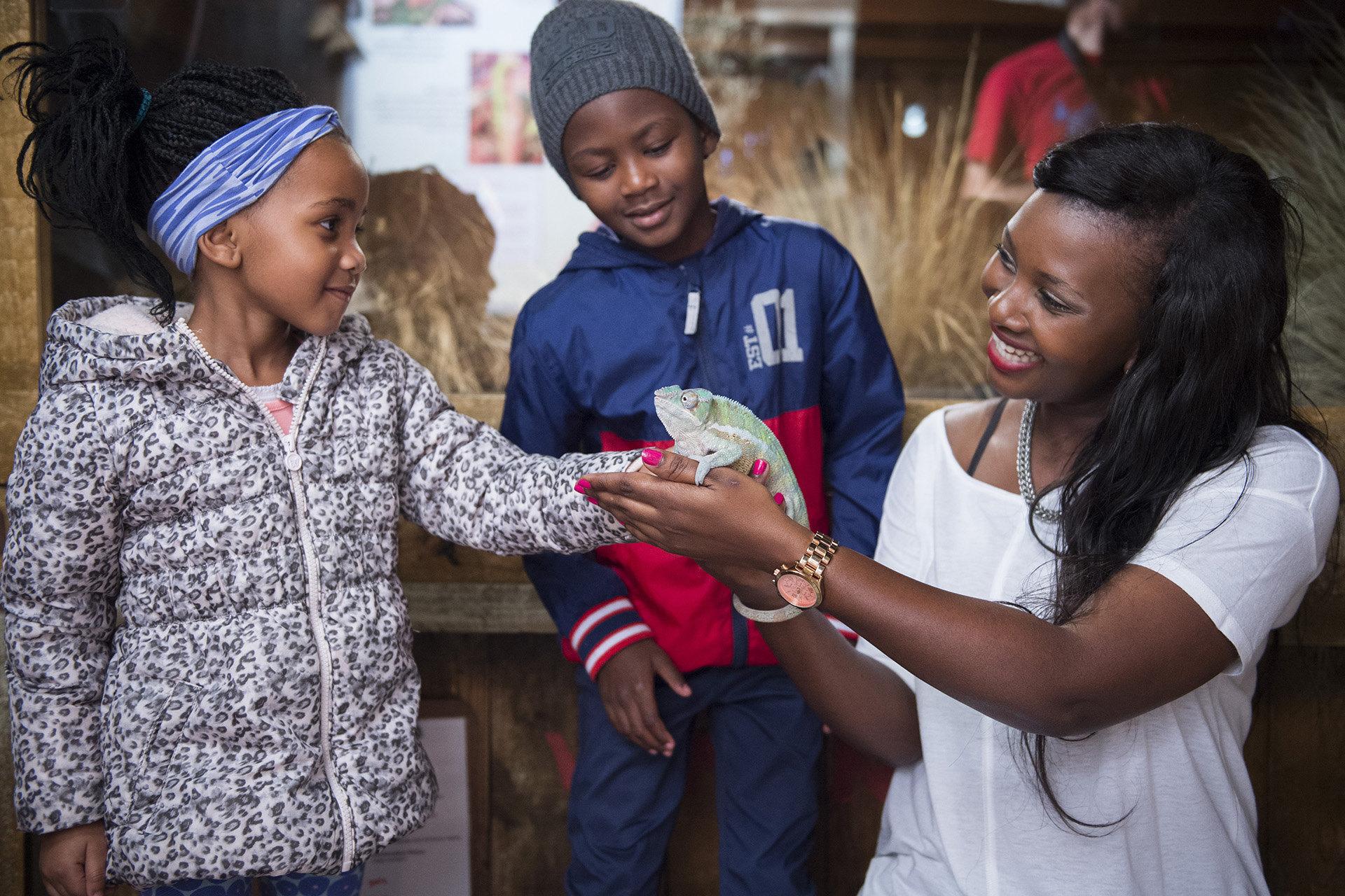 Partnering with the International Zoo Educators Association - The Ocean ...